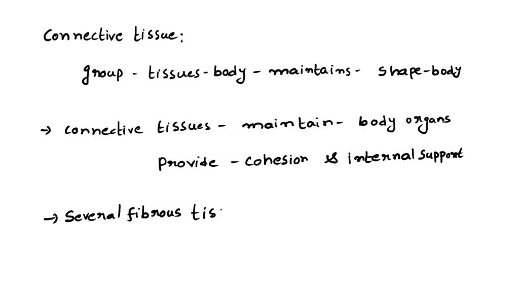 SOLVED: What are the 3 major types of Connective Tissues and their general characteristics ...