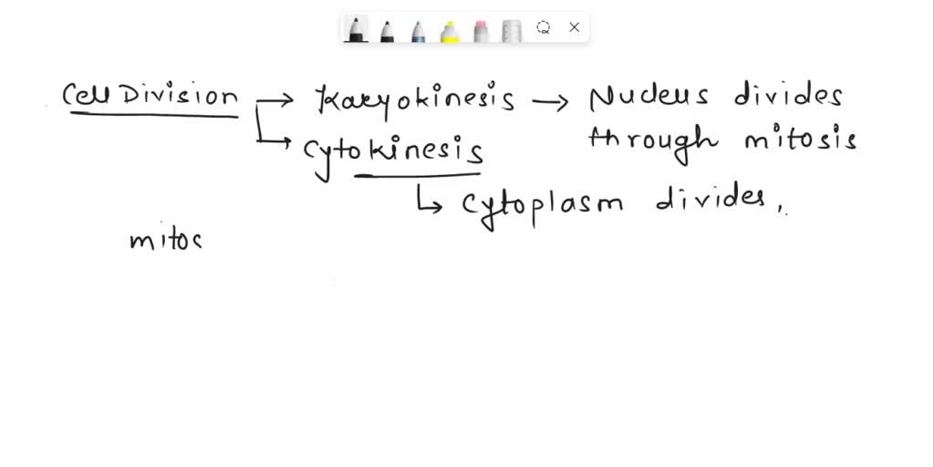 Solved Explain Why Mitosis Alone Does Not Produce Daughter Cells 