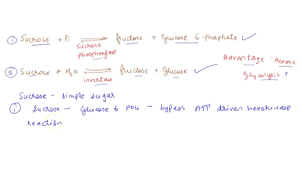 SOLVED: Sucrose can enter glycolysis by either of two routes: Sucrose ...