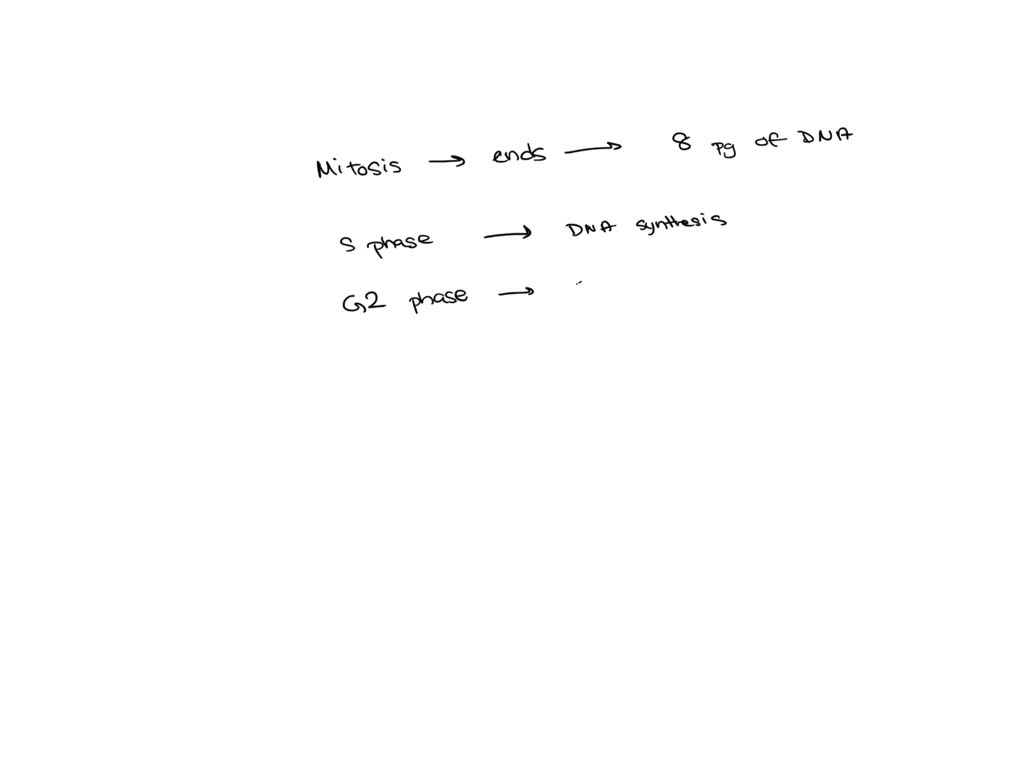 SOLVED: A group of cells is assayed for DNA content immediately ...