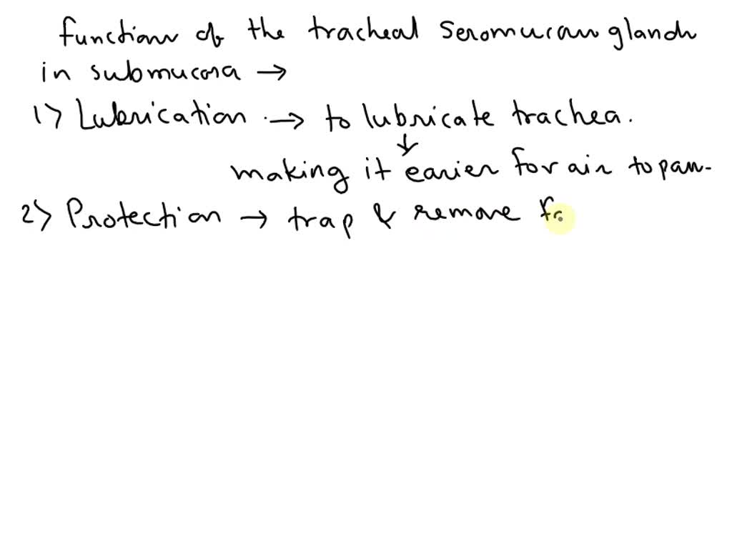 SOLVED: What are the functions of the tracheal seromucous glands in the ...