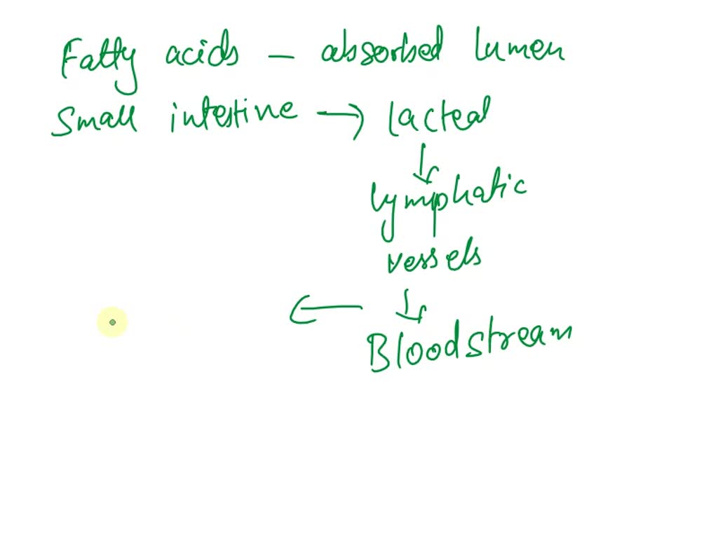 SOLVED: ( enter the lymph and need transport carriers to circulate in ...
