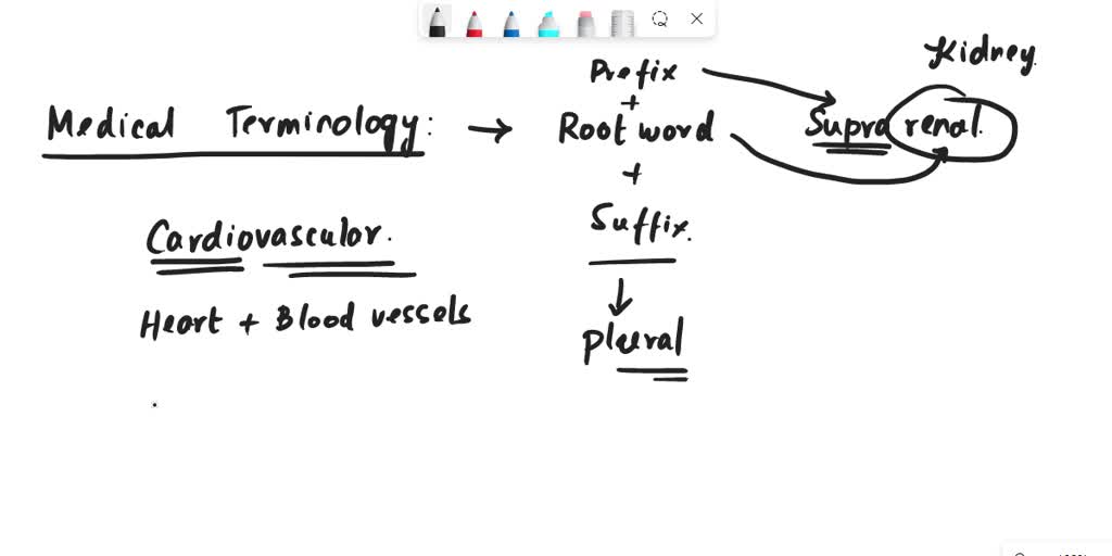 SOLVED: combined nouns in the first column with the nouns in the second ...
