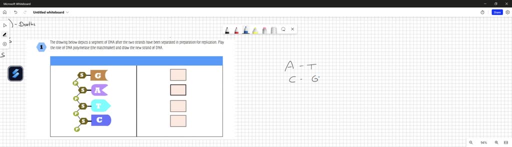 SOLVED: The drawing below depicts a segment of DNA after the two ...