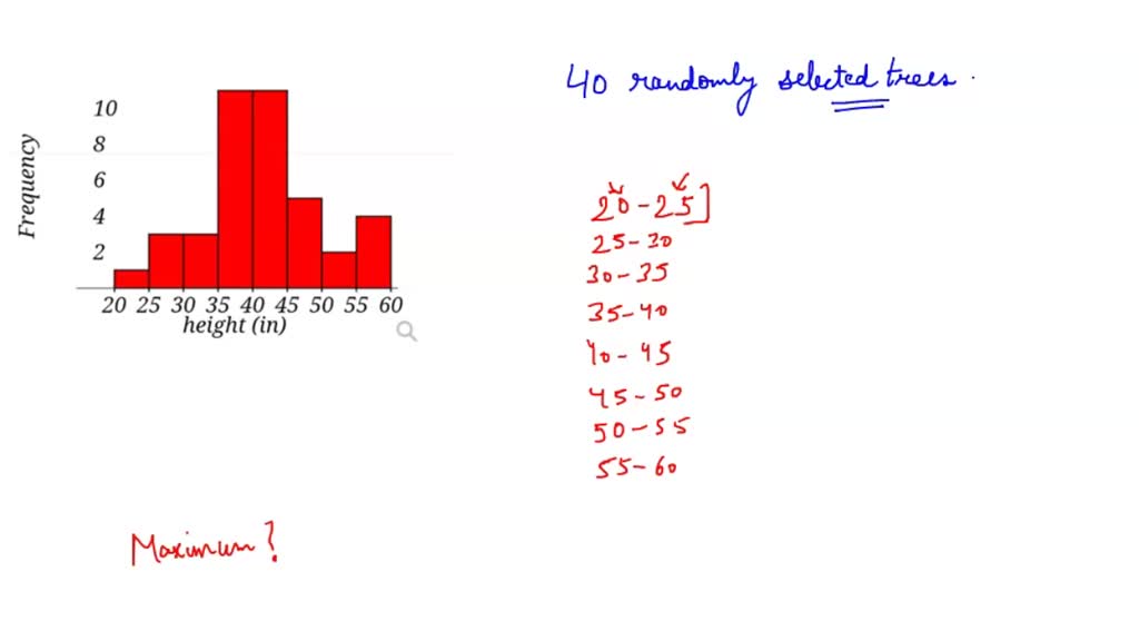 Data was collected for 40 randomly selected trees growing in the median ...