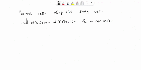 drag the terms to their correct locations in this concept map about ...