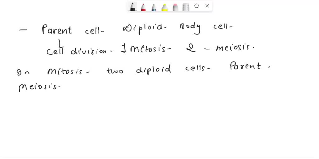SOLVED: Please create a concept map with the following words: Mitosis ...