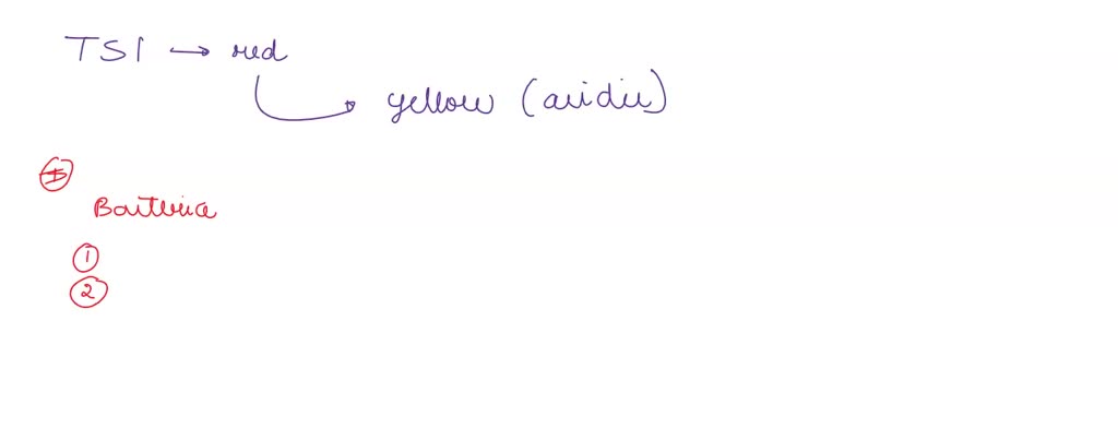 SOLVED: Biochemically, the Enterobacteriaceae are gram-negative rods ...