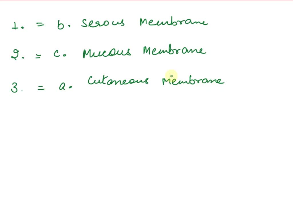 SOLVED: Supply definitions to complete the following sentences. 1 ...