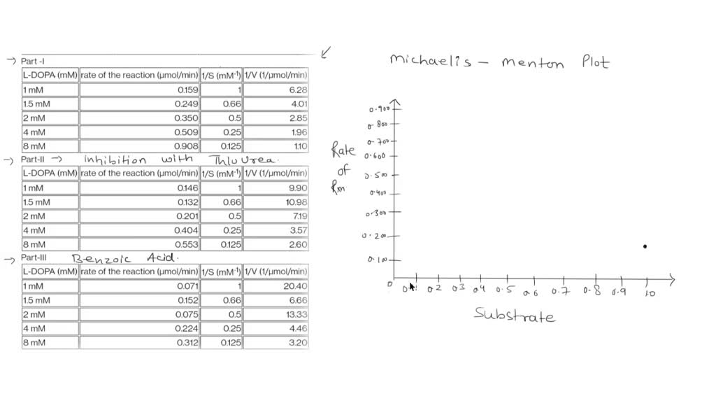 SOLVED: Section II: Michaelis-Menten plots (1 sheet) SsibgrMicrosoft ...