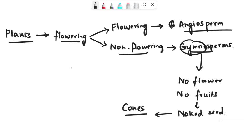 SOLVED: What is the significance of the picture below which shows the ...
