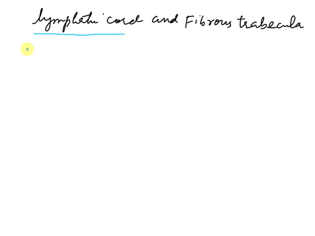 SOLVED: Differentiate histologically a lymphatic cord from a fibrous ...