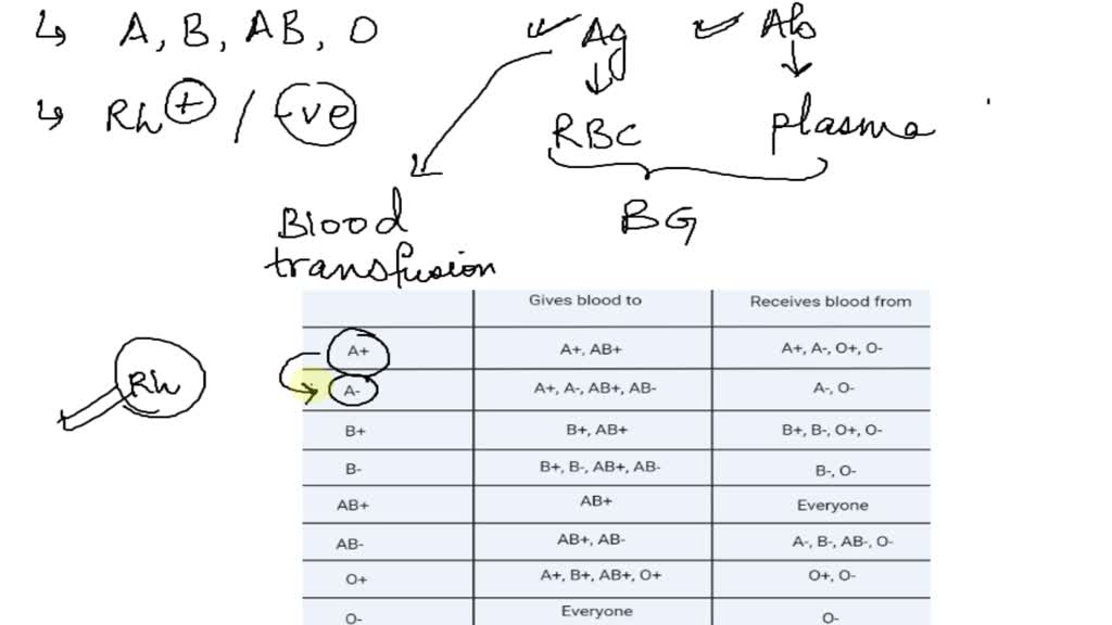 SOLVED: Blood Typing Test your understanding of blood groups by filling ...