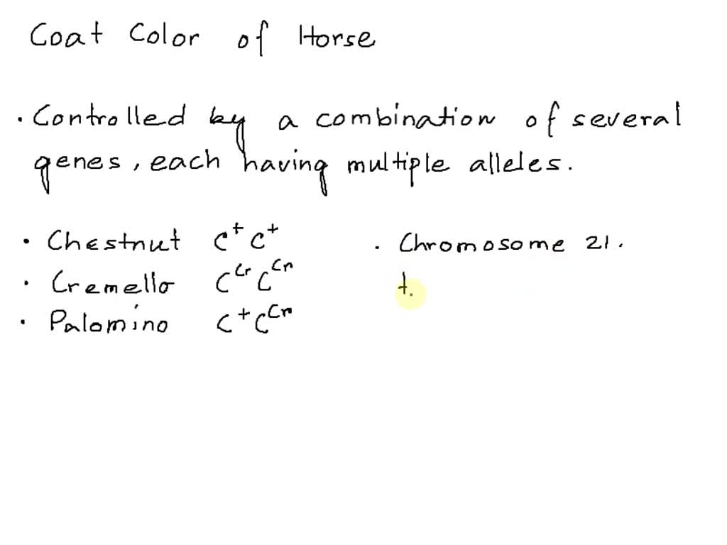 SOLVED: Horses can be cremello (light cream color), chestnut (a brownish color), or palomino (a ...