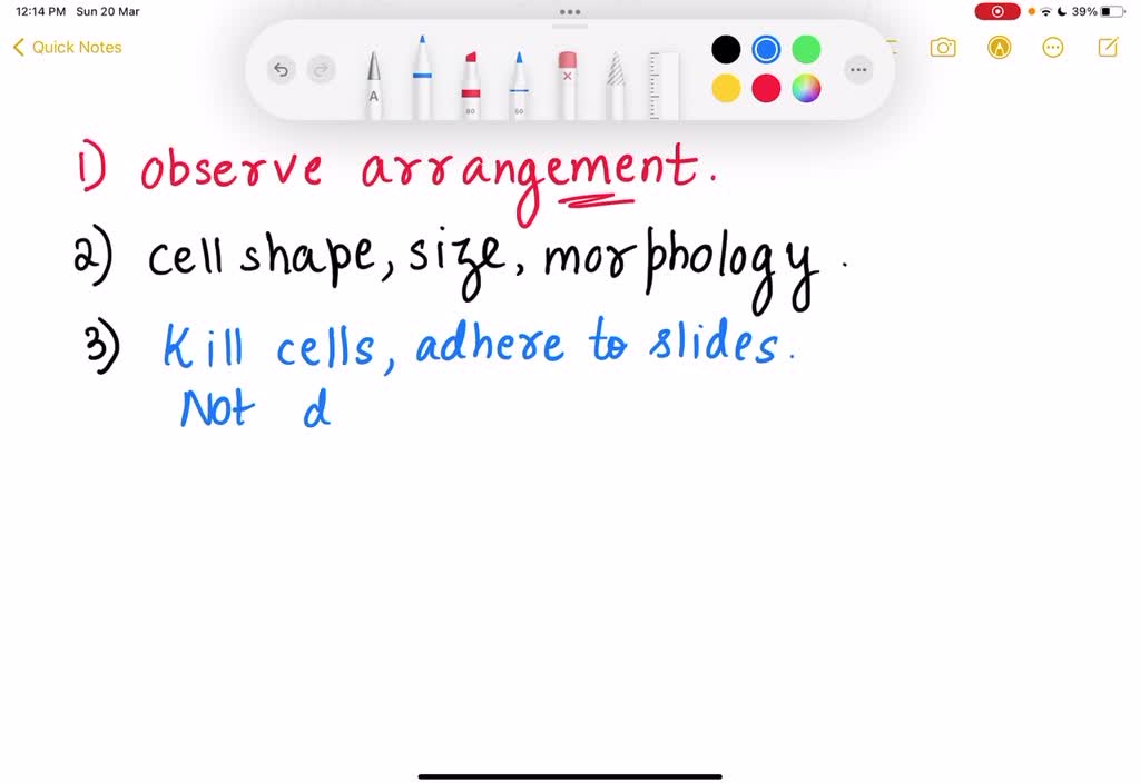 SOLVED: What is the purpose of using stains? What microbial ...