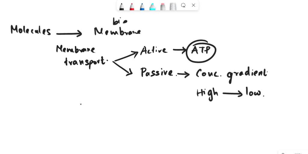 SOLVED: Bulk movement of water across plasma membranes and the exchange ...
