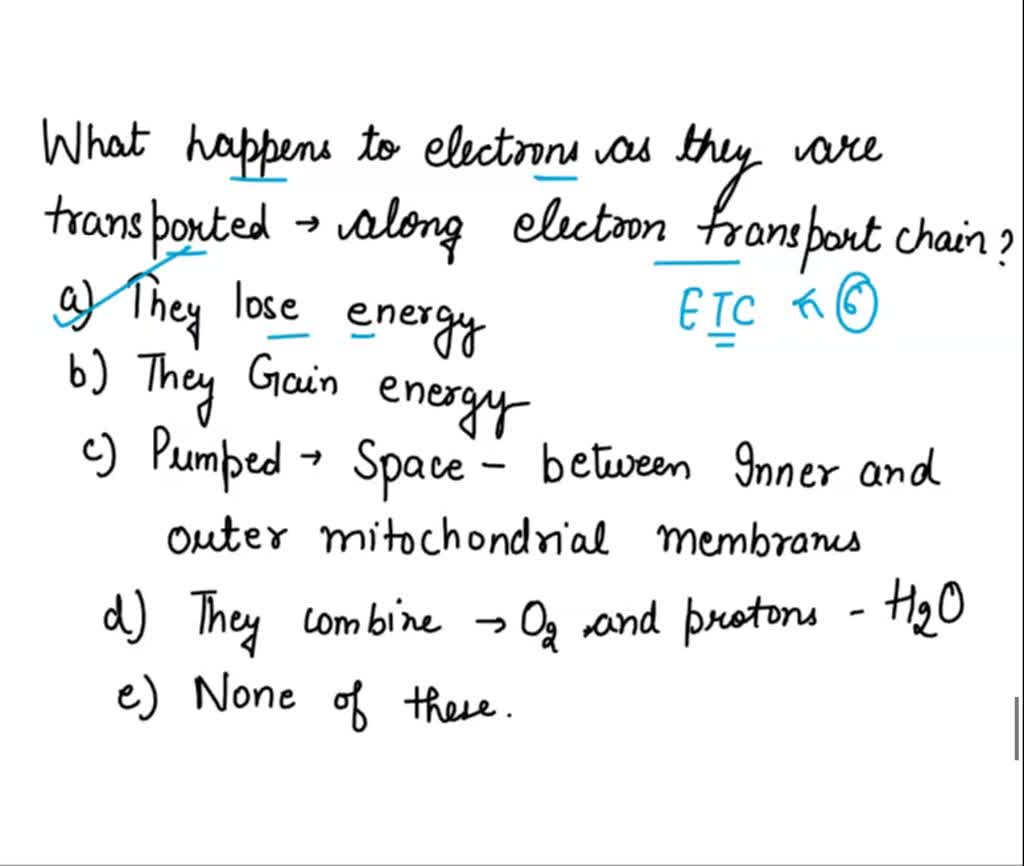 SOLVED: What happens to electrons as they are transported along the ...