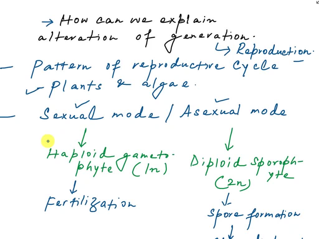 SOLVED: Activity 3: Alternation of Generation Look at the Figure below ...
