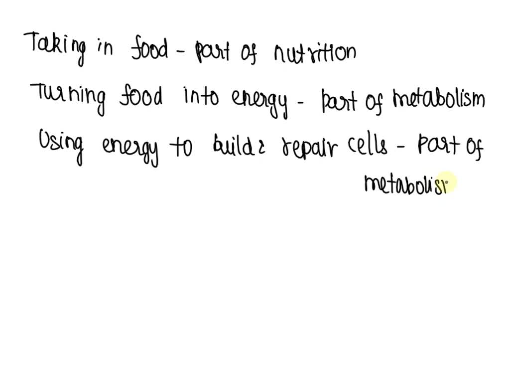 SOLVED: The process of taking in food, turning the food into energy ...