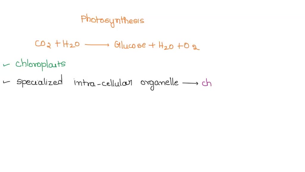 SOLVED: The equation below represents a summary of the biological ...