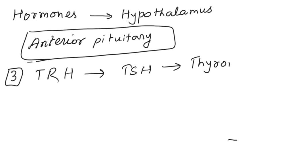 SOLVED: Name the hormones produced by the hypothalamus responsible for ... SOLVED: Name the hormones produced by the hypothalamus responsible for ...