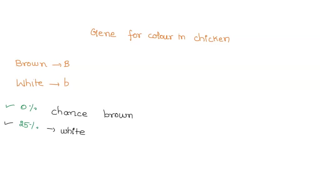 SOLVED: The following Punnett square displays the gene for color in ...
