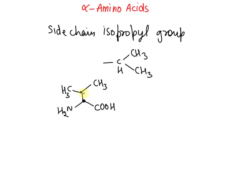 SOLVED: Draw an @ amino acid with an isopropyl ( - CH(CH;) = side chain ...