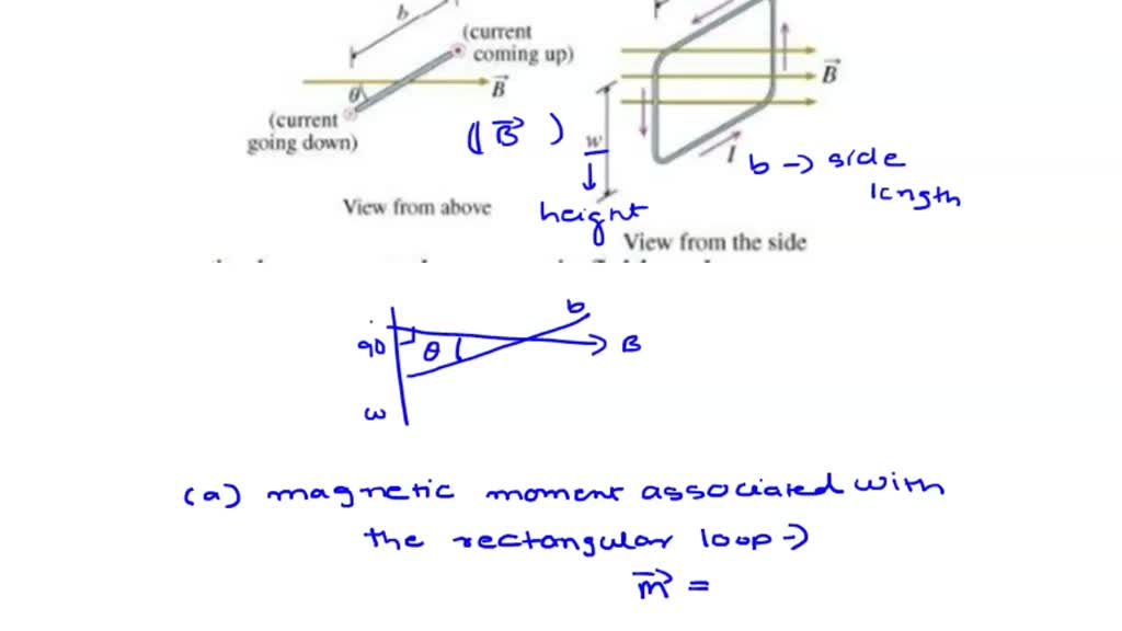 SOLVED: 16. Current flows in a plane rectangular current loop with height w and horizontal sides ...