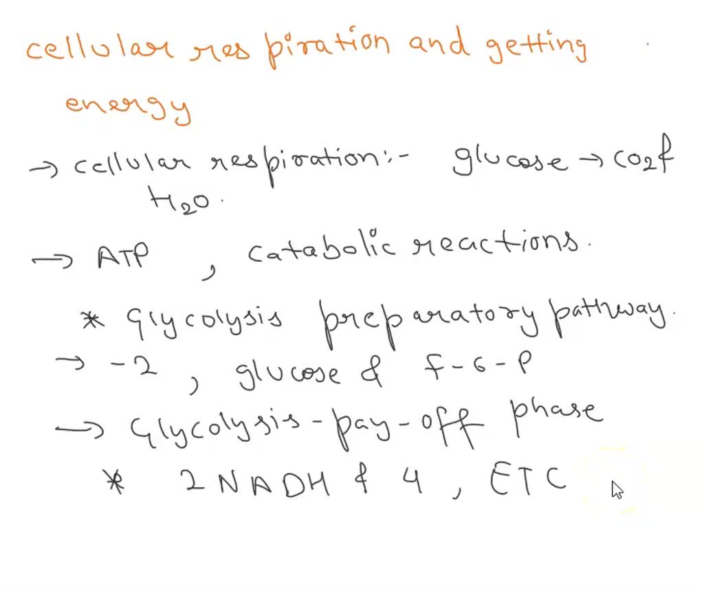 SOLVED: What is the difference between combustion of carbohydrates and ...