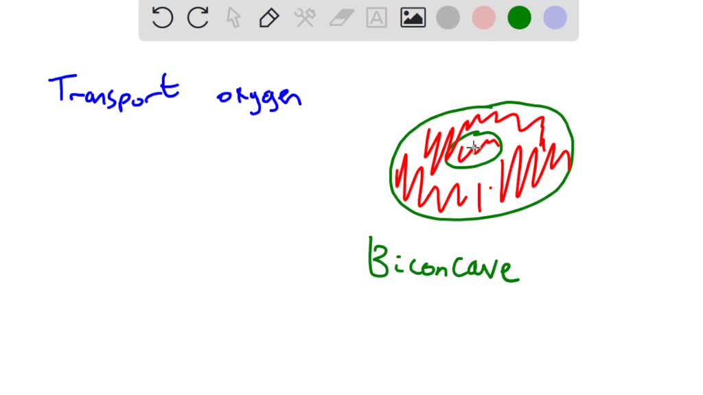 SOLVED: Draw a Simple Columnar Epithelium