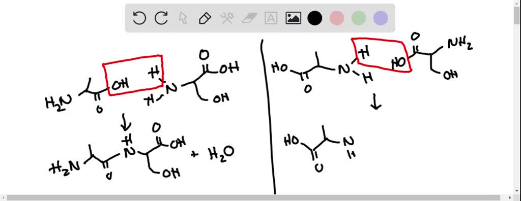 SOLVED: The structures of alanine (Ala) and serine (Ser) amino acids ...