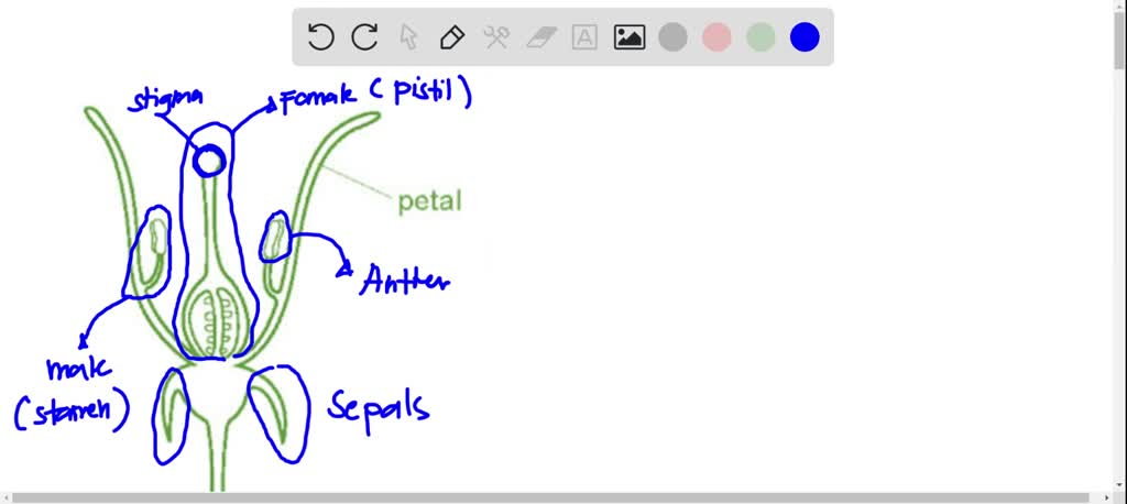 SOLVED: What Type of key is suitable for the hub shown in figure below ...