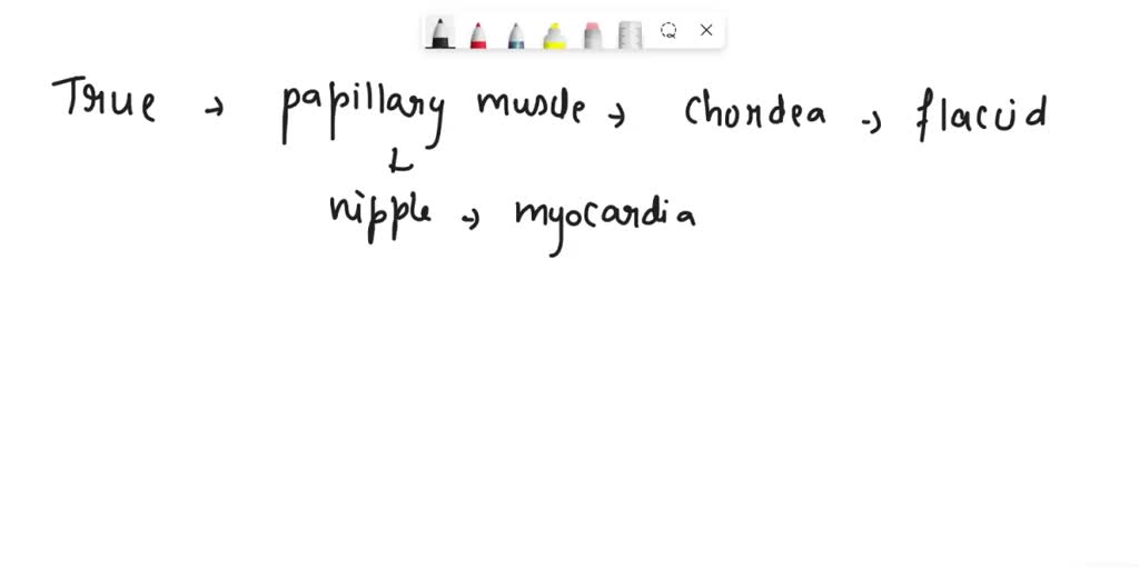SOLVED: Upon contraction of the papillary muscles, the chordae ...