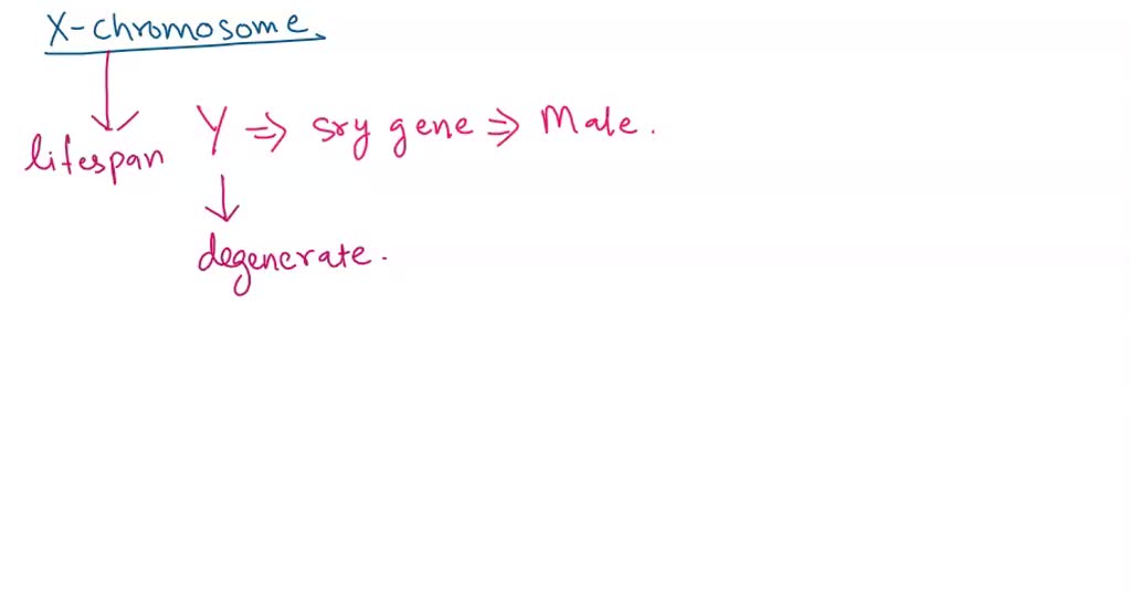 SOLVED: An extra chromosome, or a missing chromosome, can result in a ...