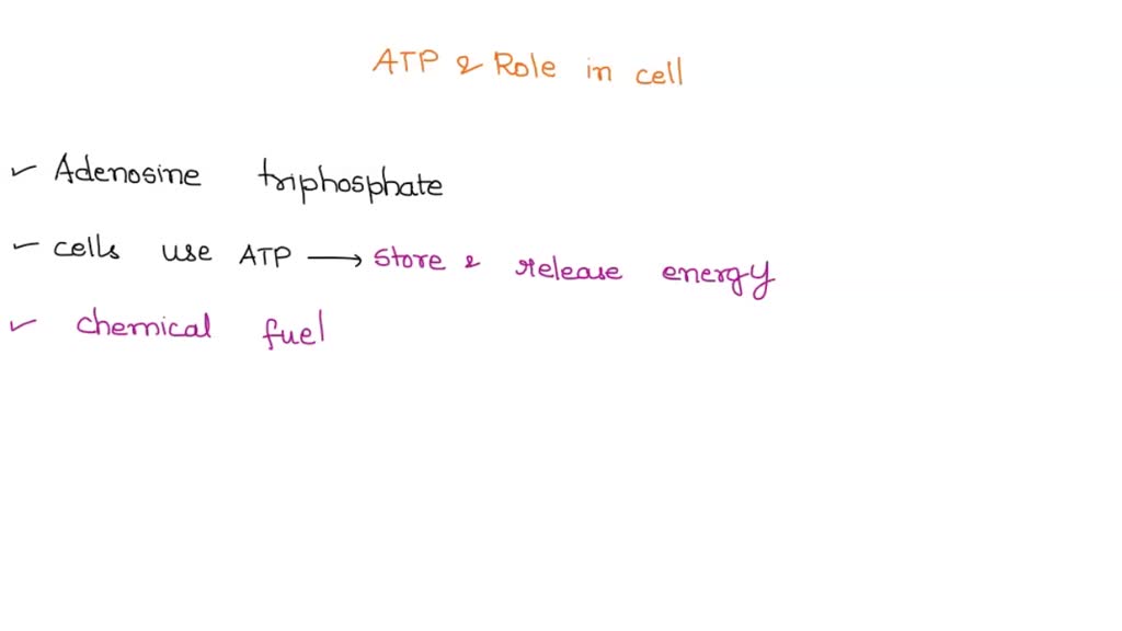 SOLVED: What is atp and what is its role in the cell?