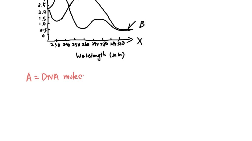 SOLVED: Q1: Why is it important to use a blank control prior to loading ...