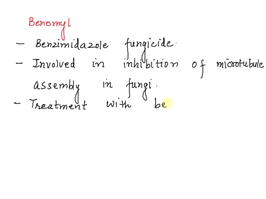 SOLVED: You are working in a budding yeast lab and accidentally treated ...