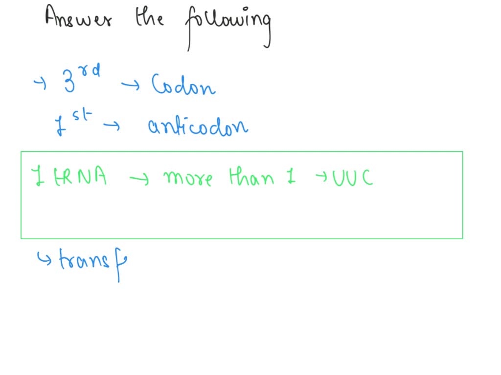 Solved The Anticodon Sequence Of A Phenylalanine Specific Trna Is 5