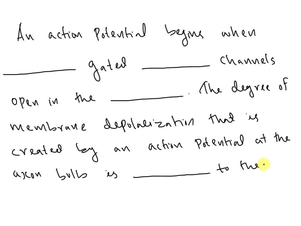 SOLVED: 'Question 1 4 pts An action potential begins when voltage gated ... SOLVED: 'Question 1 4 pts An action potential begins when voltage gated ...
