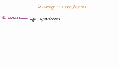 Data Table 2: Grasshopper Structures and Functions Structure...
