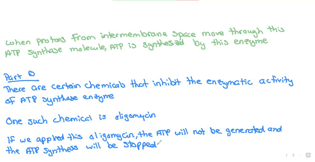SOLVED: According to the chemiosmotic model proposed by Peter Mitchell ... SOLVED: According to the chemiosmotic model proposed by Peter Mitchell ...