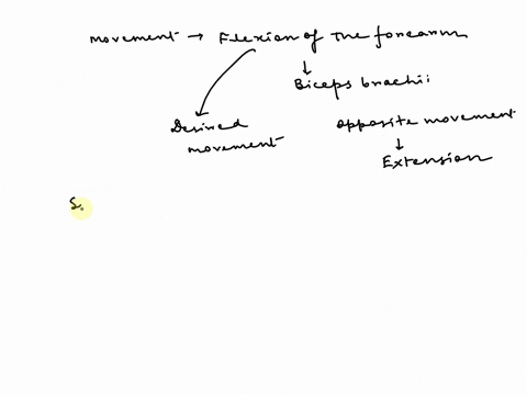 Choose a specific movement of the body such as flexion of...