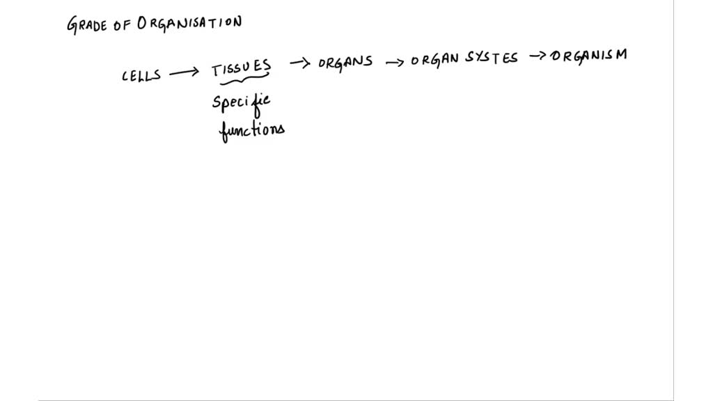 SOLVED: A collection of similar tissues that performs a specific function is an