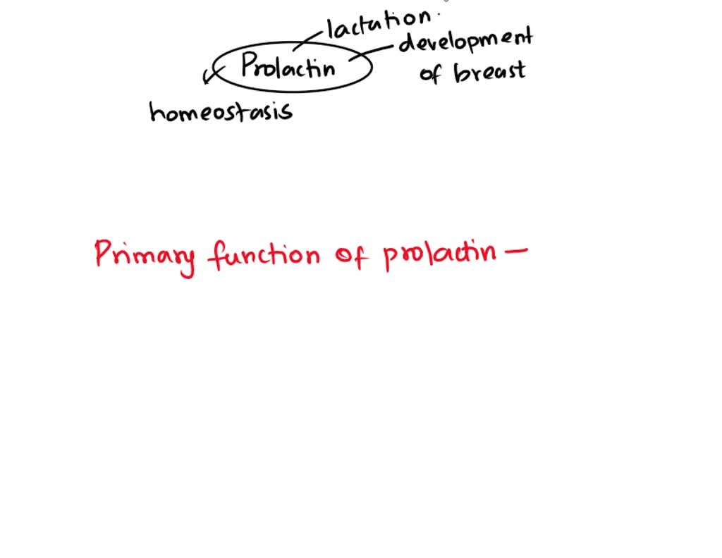 SOLVED: Prolactin is secreted from the anterior pituitary gland ...