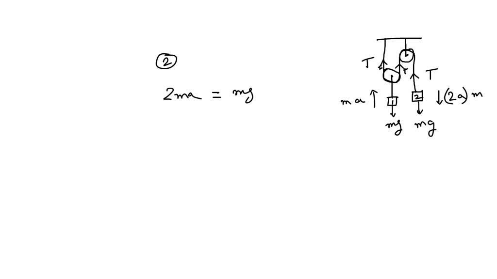 SOLVED: In the pulley system shown in the figure, the pulleys and the ...
