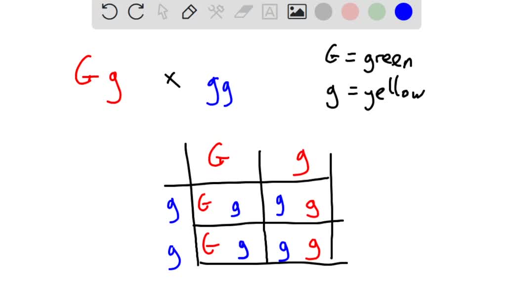 SOLVED: '⚠️⚠️⚠️PLEASE HELP QUICK!⚠️⚠️⚠️Complete the following Punnett ...