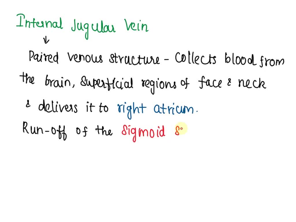 SOLVED: The venous angle locates at: A. the junction of the external ...