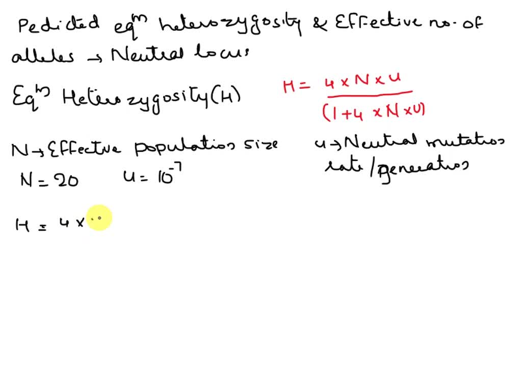 SOLVED: what are the predicted equilibrium heterozygosities and ...