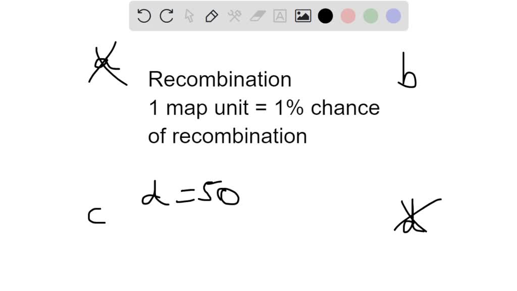 SOLVED: Two percentage of recombination equals distance between the ...
