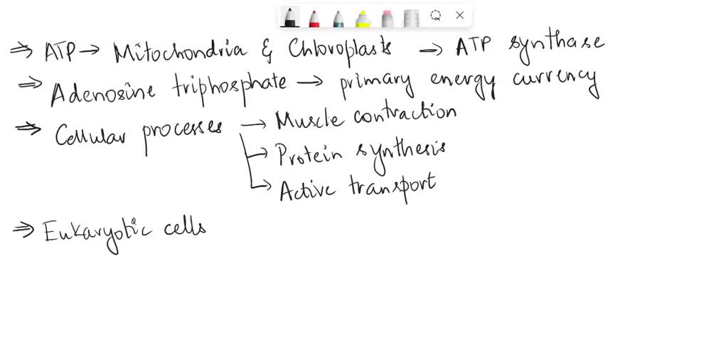 SOLVED: Compare the respective effect of HCl on protein digestion by ...